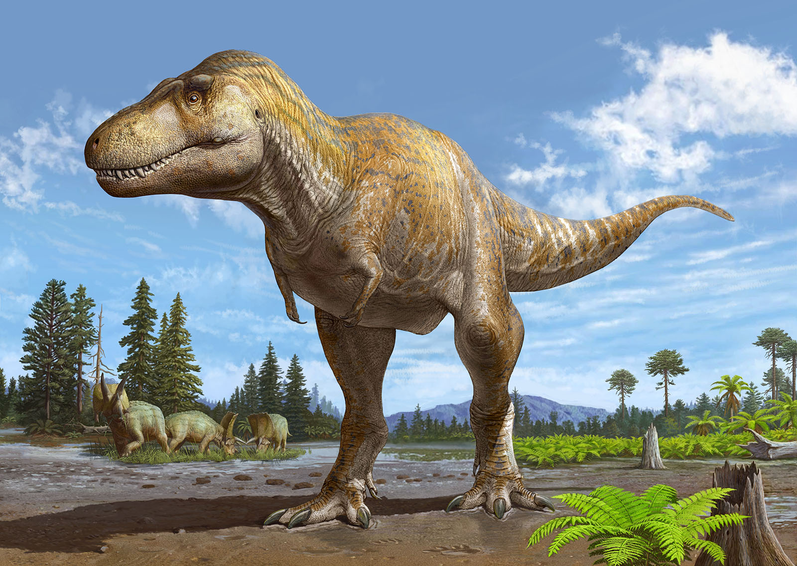 Museum researchers reveal massive new T. rex relative unearthed in ...